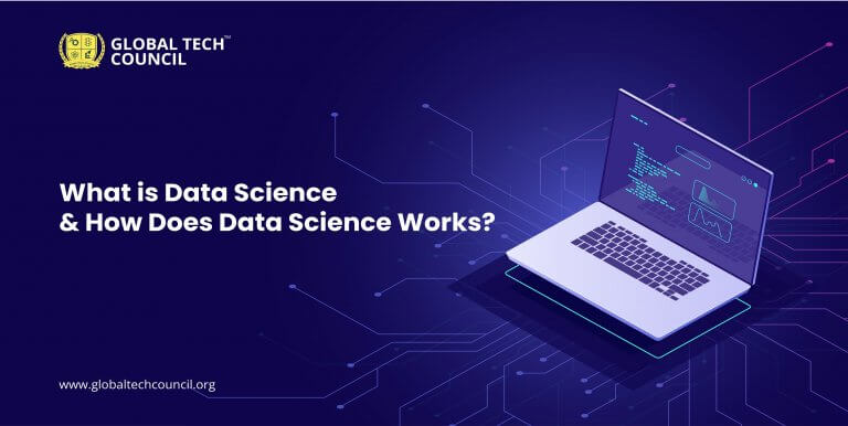 What is Data Science & How Does Data Science Work?